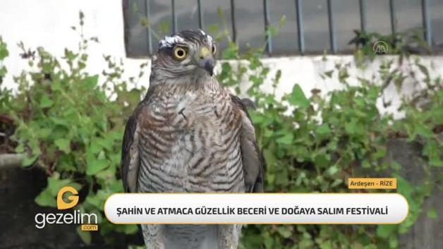 Rize'de Şahin Atmaca Güzellik Beceri ve Doğaya Salım Festivali - Video 7