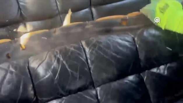 28 kilo külçe altın ele geçirildi! Valilikten açıklama - Video 7