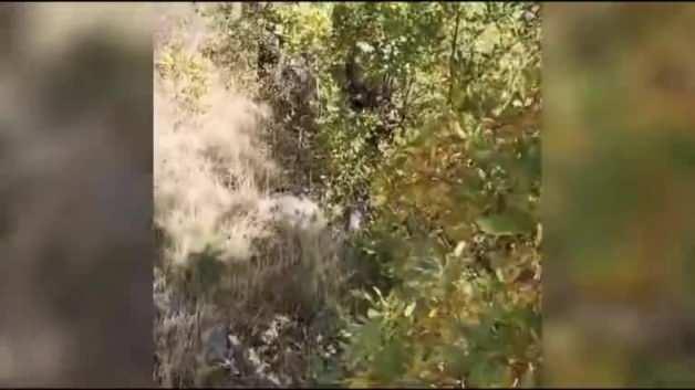 İçişleri Bakanı Ali Yerlikaya: "Bozdoğan-49 operasyonunda 36 adet AK-47 ...