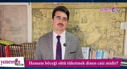 Hamam böceği sütü tüketmek dinen caiz mi? İlahiyatçı Yazar Adnan Şensoy ...