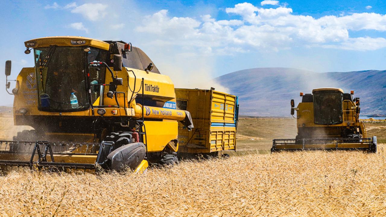 10 bin yıllık ata tohumu hayat buldu! Tarlasına ‘siyez’ eken çiftçi ...