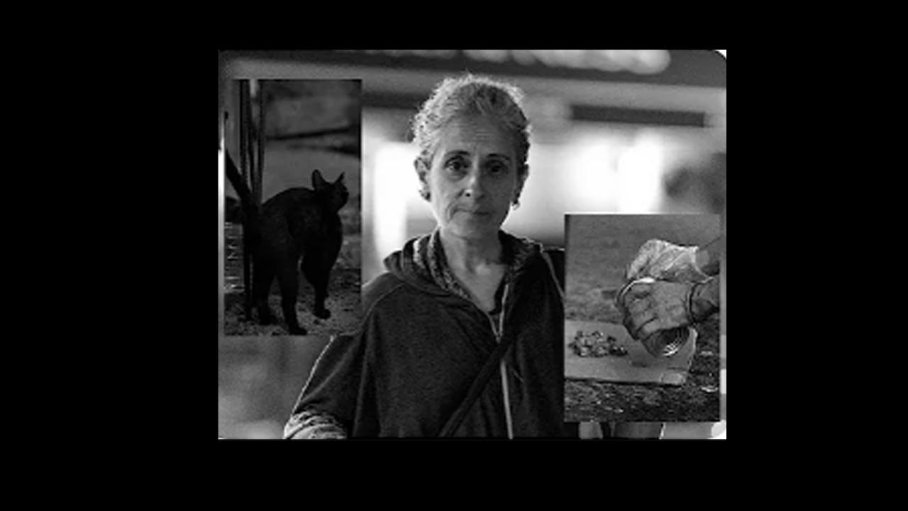 Zeliha Bürtek kimdir? Asıl mesleği ne? Zeliha Bürtek'in biyografisi ...