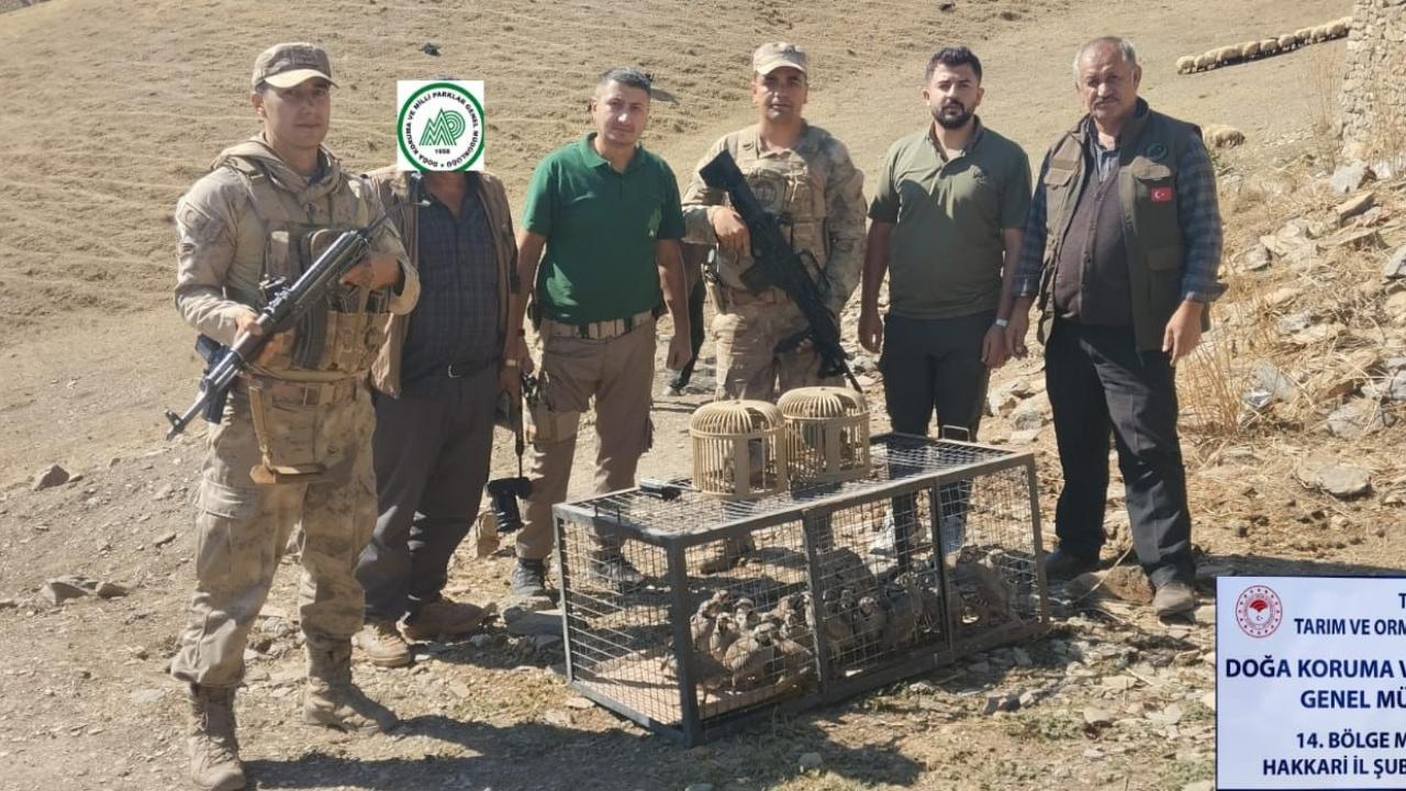 Hakkari'de yasa dışı keklik avına 138 bin 142 TL ceza - Haber 7 GÜNCEL