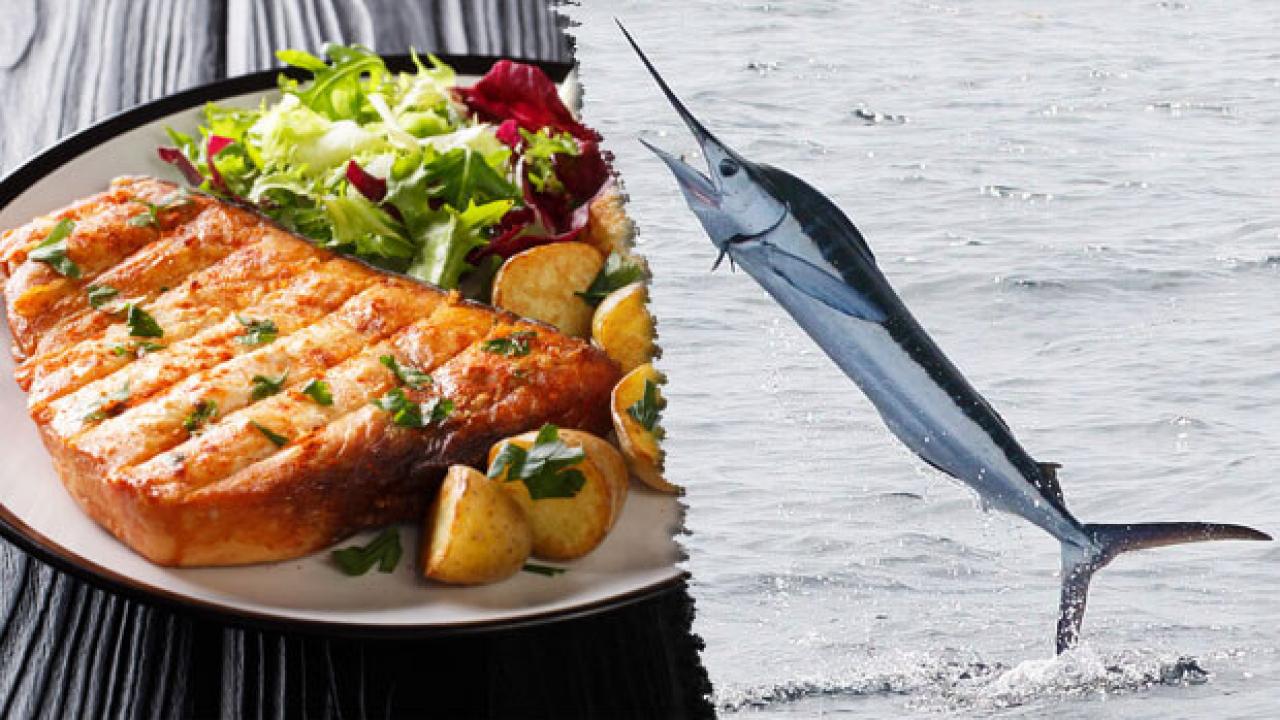 Kılıç balığı: Besin değerleri, faydaları ve pişirme yöntemleri - Haber ...