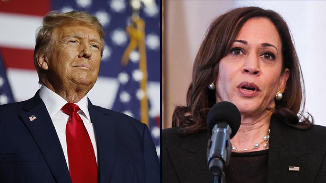 ABD başkanlık seçimi ne zaman olacak? Donald Trump mı, Kamala Harris mi ...