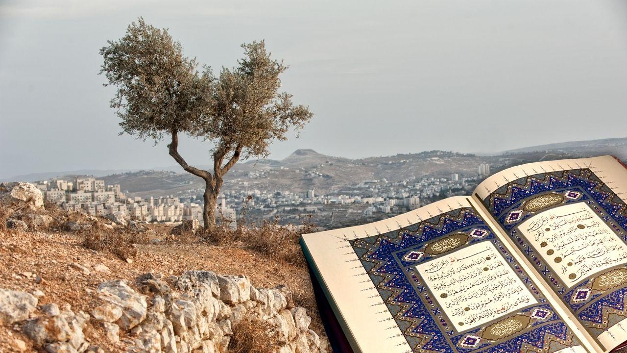 Tin suresi Türkçe ve Arapça okunuşu, Diyanet meali! Tin suresi ...